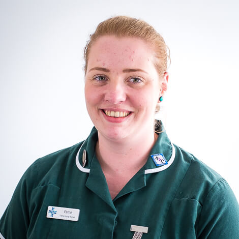 Esme Hawkes | Isabelle Vets