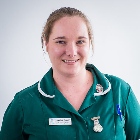 iv-staff-8 | Isabelle Vets