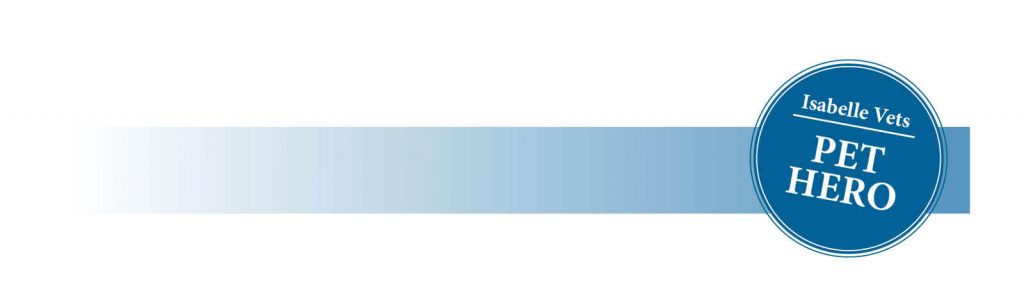 Pet Hero | Isabelle Vets