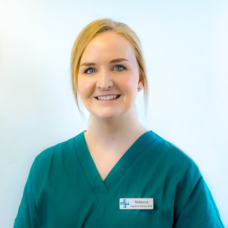 Rebecca-web | Isabelle Vets