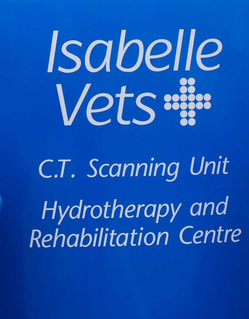 Winter Fitness Hydrotherapy for Dogs | Isabelle Vets